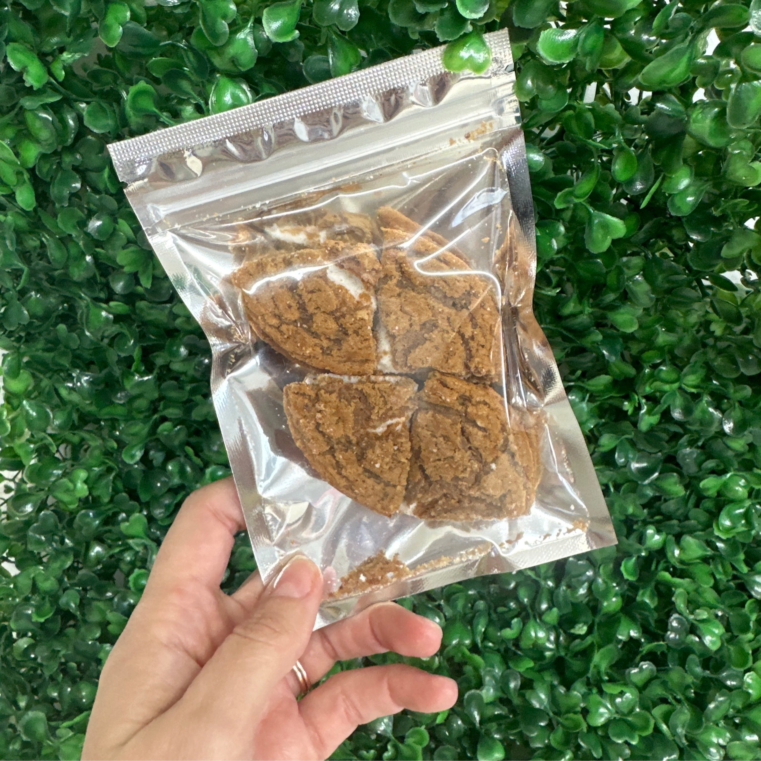 Freeze Dried Oatmeal Cream Pie | Town and Country 37 S. McDonald St ...